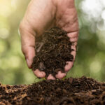 Black Gold Compost - St. Louis Composting, Inc.