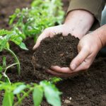 Soil | St. Louis Composting, Inc.
